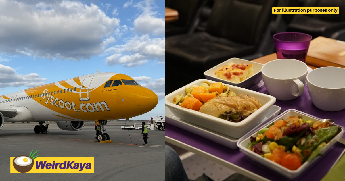 SG Air Steward Steals In-Flight Food & Drinks Sales Worth RM126K, Used ...